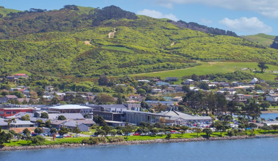 Whitireia and WelTec vaccination policy keeps campus communities safe ...
