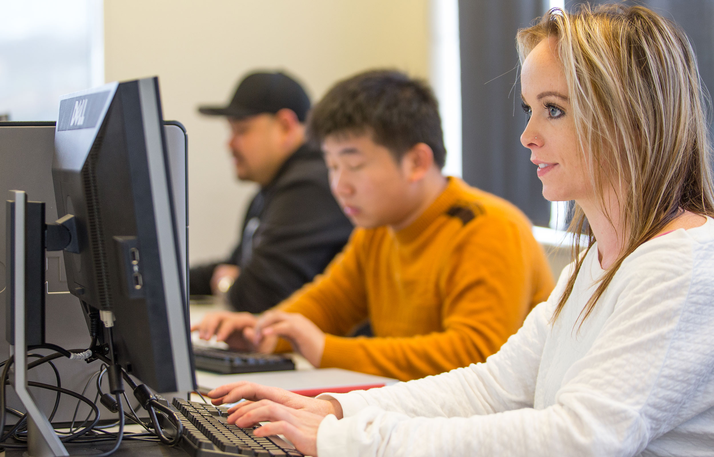 Postgraduate Certificate in Information Technology | Whitireia and WelTec